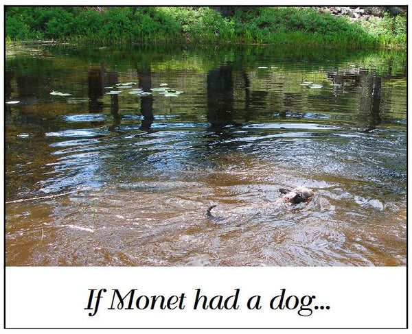 Monet's Dog – Stacey Lamothe Art