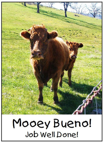 Mooey Bueno! – Stacey Lamothe Art