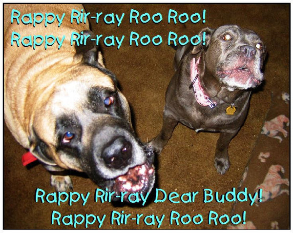 Rappy Rir-Ray Ro Roo! – Stacey Lamothe Art