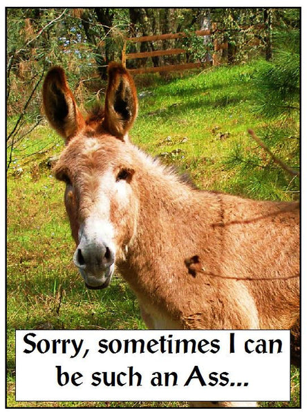 Sorry – Stacey Lamothe Art