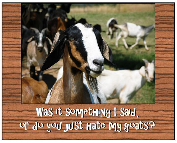 Was it something I said – Stacey Lamothe Art