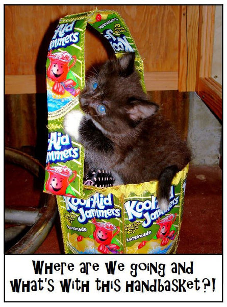 Where are we going... – Stacey Lamothe Art