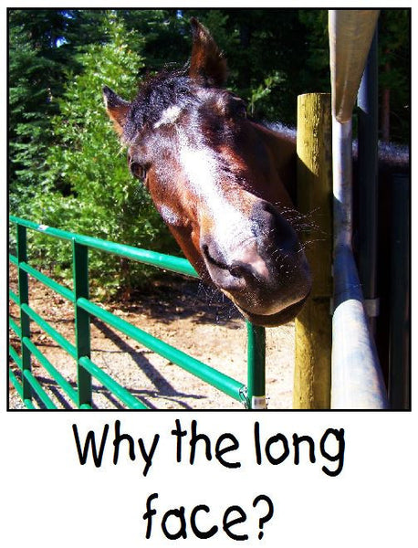 Why The Long Face? – Stacey Lamothe Art