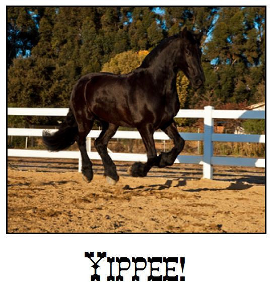 Yippee! – Stacey Lamothe Art