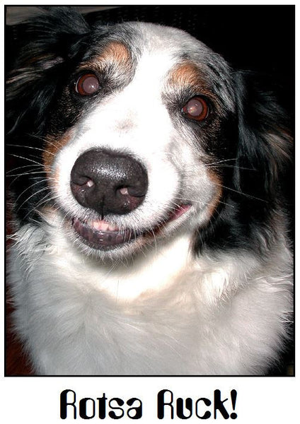 Rotsa Ruck! – Stacey Lamothe Art